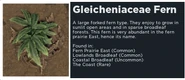 Gallimimus | Prior Extinction OFFICIAL Wiki | Fandom