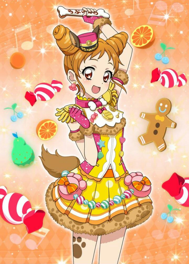 Rainbow Paw Patrol Coord Wikia Pripara Fandom Fandom