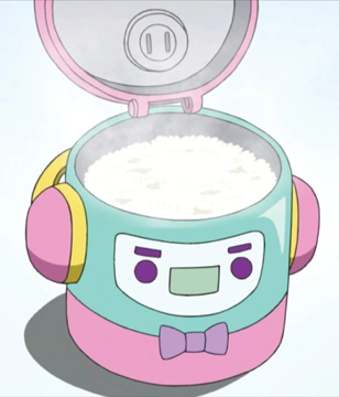 Cooky | Wiki Pripara | Fandom