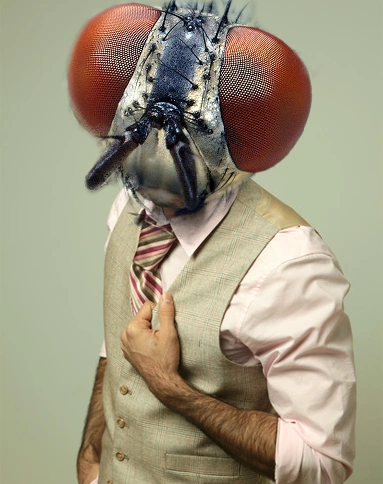 Cara-de-Mosca | Wikia P.R.I.S.M | Fandom