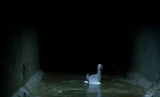 Paper crane | Prison Break Wiki | Fandom