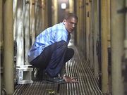 English, Fitz or Percy | Prison Break Wiki | Fandom