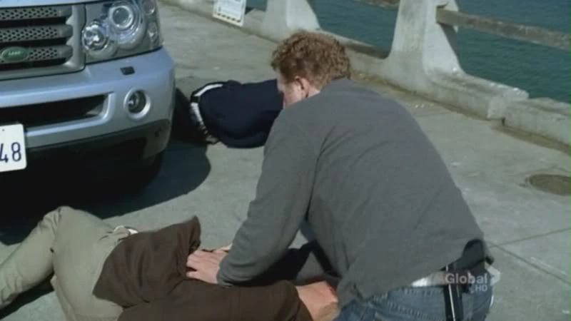 Patrick Vikan's bodyguard (I) | Prison Break Wiki | Fandom