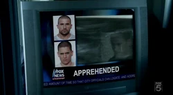 The Killing Box (episode) | Prison Break Wiki | Fandom