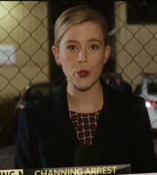 Sky News Reporter | Prisoner Cell Block H Wiki | Fandom