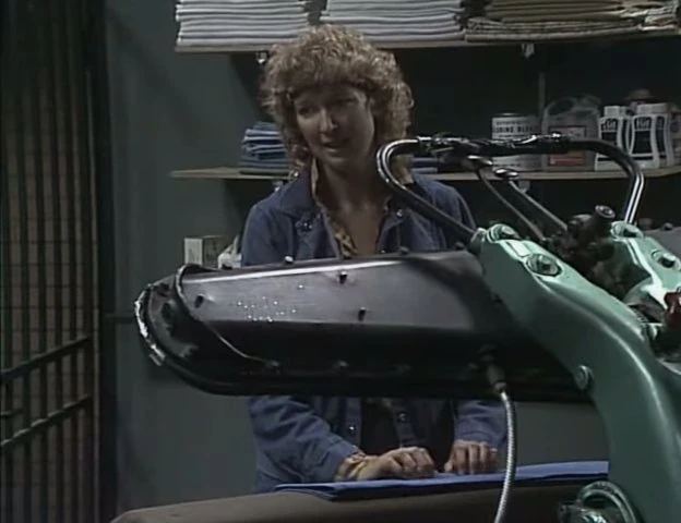 The Press | Prisoner Cell Block H Wiki | Fandom