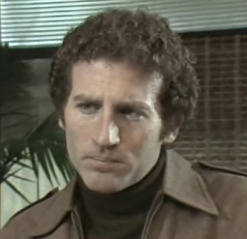 Ray Foster | Prisoner Cell Block H Wiki | Fandom