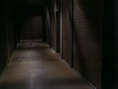 D Block | Prisoner Cell Block H Wiki | Fandom