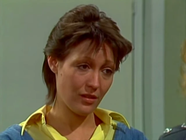 Sandra Hamilton | Prisoner Cell Block H Wiki | Fandom