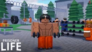 Prisoner Life | Prisoner Life Wiki | Fandom