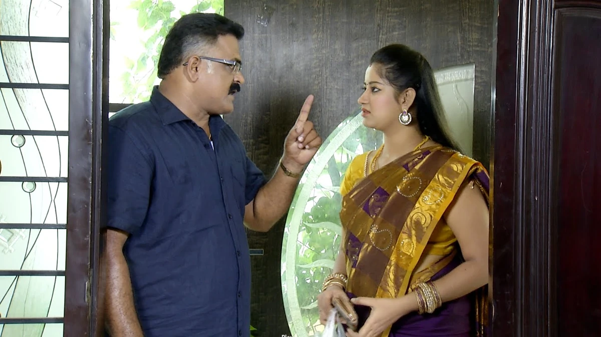 Raja Ram | Priyamanaval Serial Wikia | Fandom