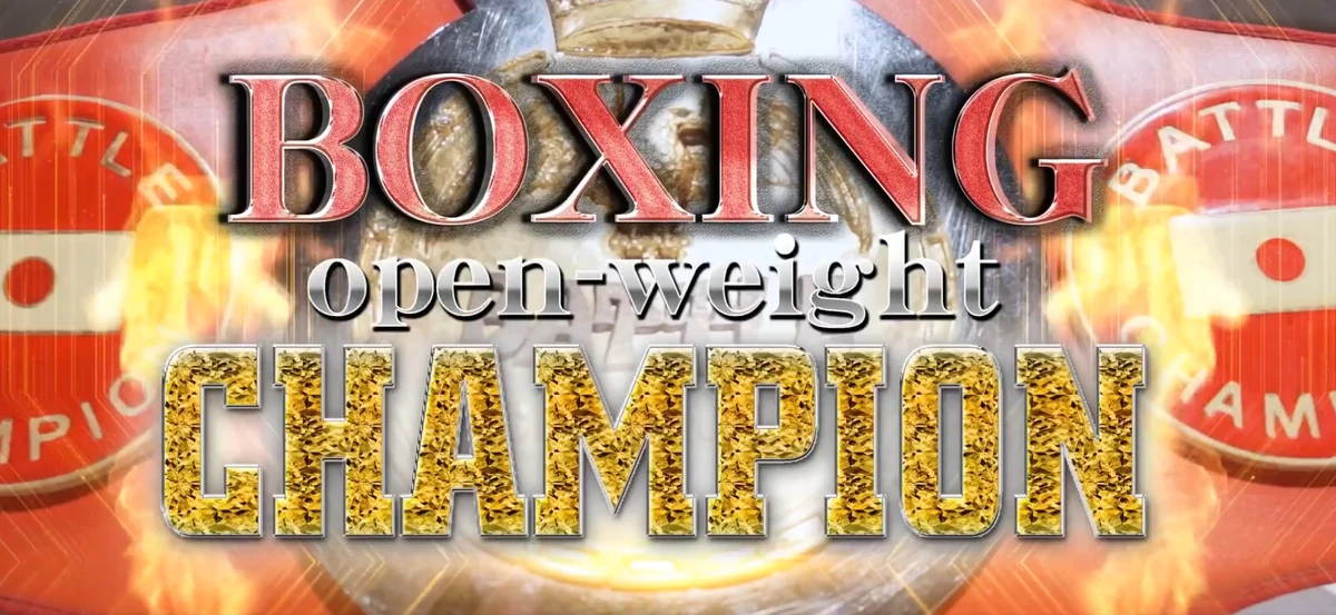 BATTLE Boxing Openweight Championship | Pro Style Catfight Wiki | Fandom