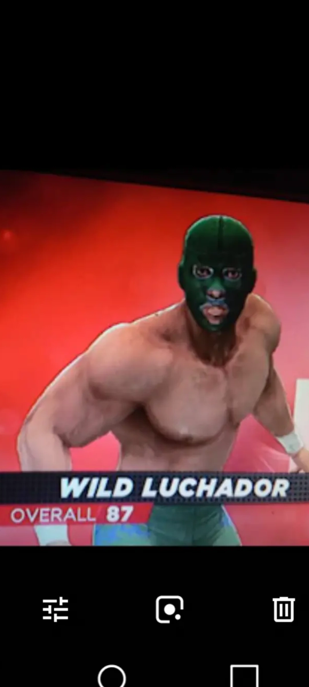 Wild Luchador | Pro Wrestling Animated Wiki | Fandom
