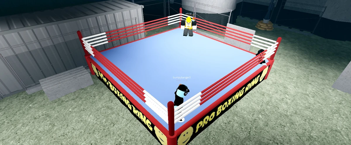 Boxing Ring | Pro Border Wiki | Fandom