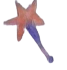 Summer Star | Prodigy Game Fanon Wiki | Fandom