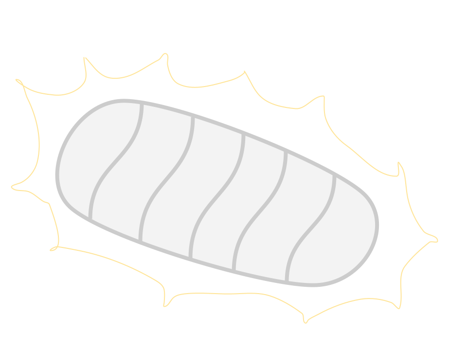 The Baby | Prodigy Game Fanon Wiki | Fandom