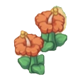 Hibiscus | Prodigy Game Wiki | Fandom