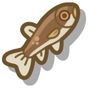 Dace | Prodigy Game Wiki | Fandom