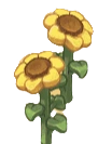 Sunflower | Prodigy Game Wiki | Fandom