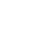 Noot | Prodigy Game Wiki | Fandom