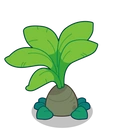 Small Palm Tree | Prodigy Game Wiki | Fandom