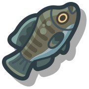 Tilapia | Prodigy Game Wiki | Fandom