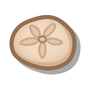 Sand Dollars | Prodigy Game Wiki | Fandom
