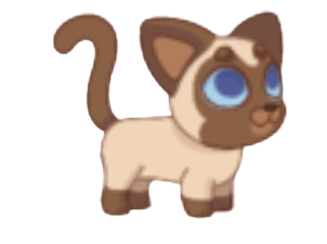 Siamese | Prodigy Game Wiki | Fandom