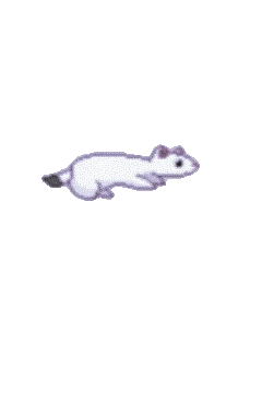 Snow Ermine | Prodigy Game Wiki | Fandom