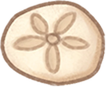 Sand Dollar Diagram