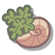 Seashell Planter/Change History | Prodigy Game Wiki | Fandom
