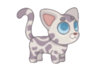 American Shorthair | Prodigy Game Wiki | Fandom