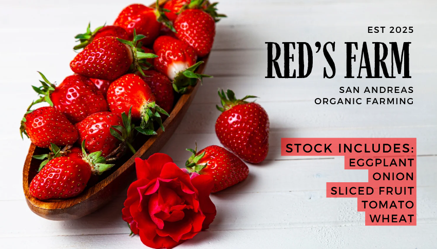 Red's Farm | Prodigy Roleplay Wiki | Fandom