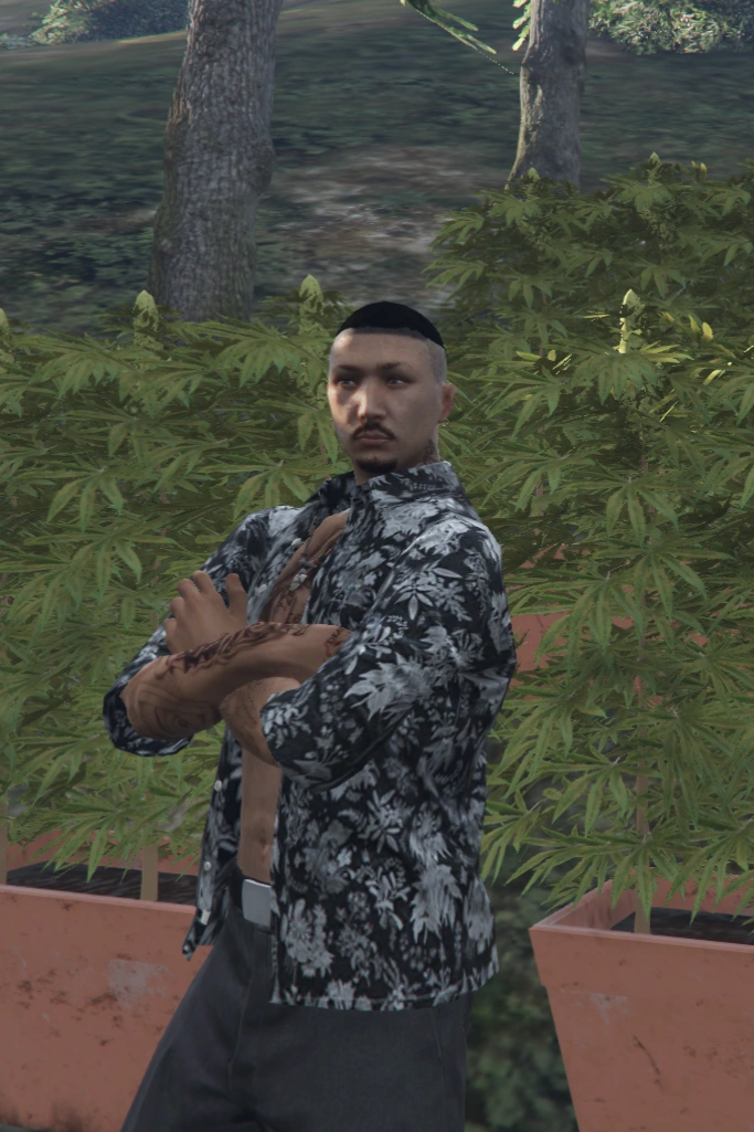 Jay Chang | Prodigy Roleplay Wiki | Fandom