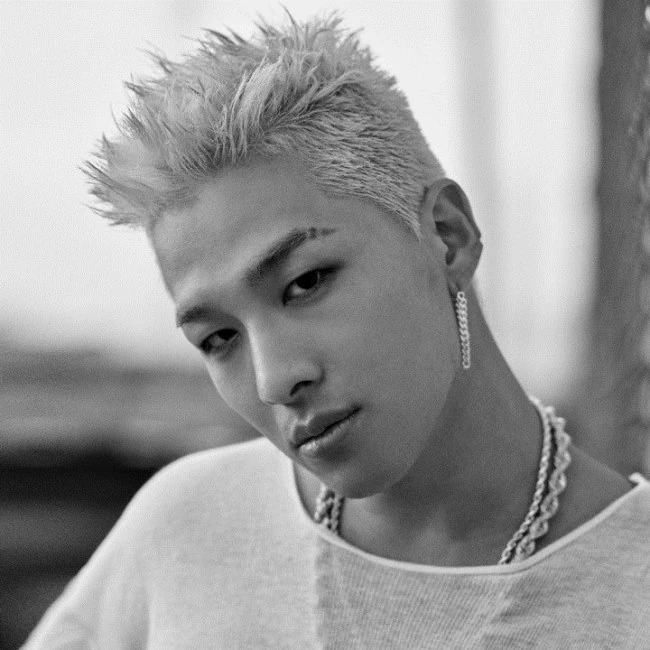 Taeyang | Producerviet Wiki | Fandom