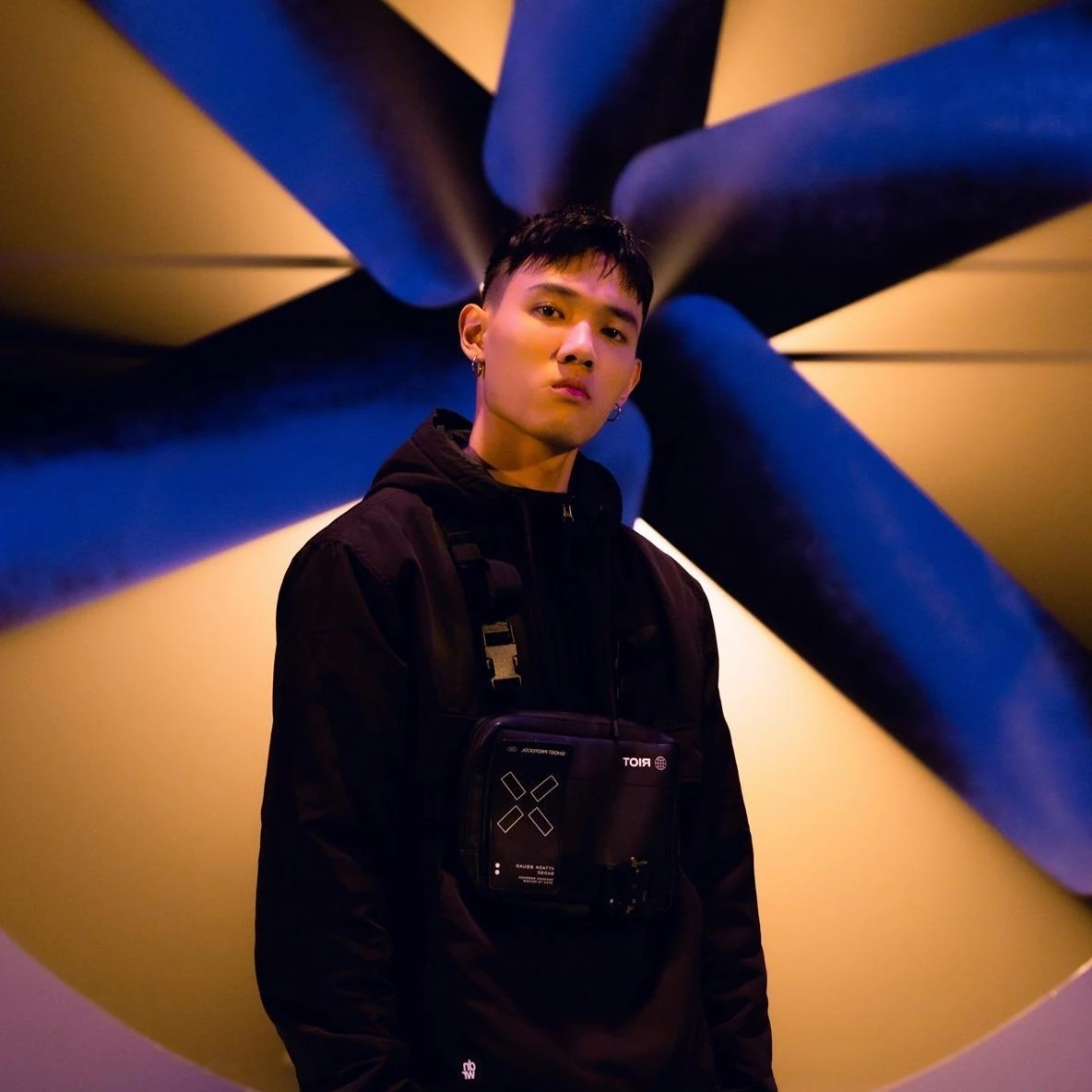 Tage | Producerviet Wiki | Fandom