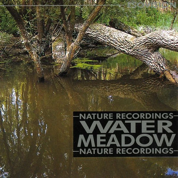 EV-52 - Water Meadow | Production Music Wiki | Fandom