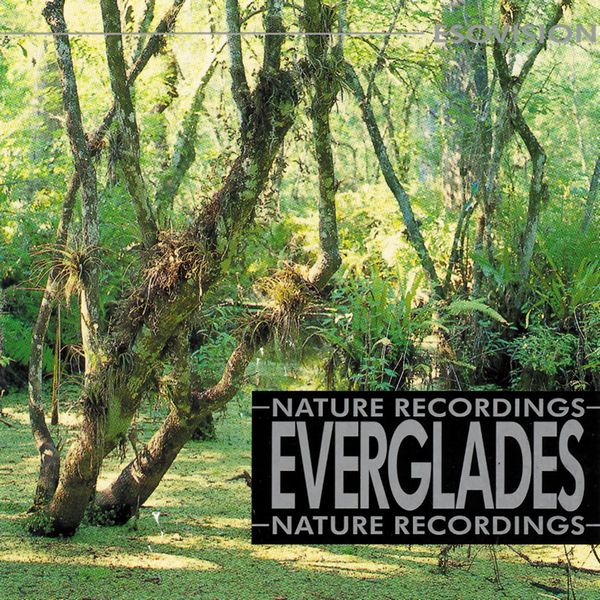 Ev 69 Everglades Production Music Wiki Fandom