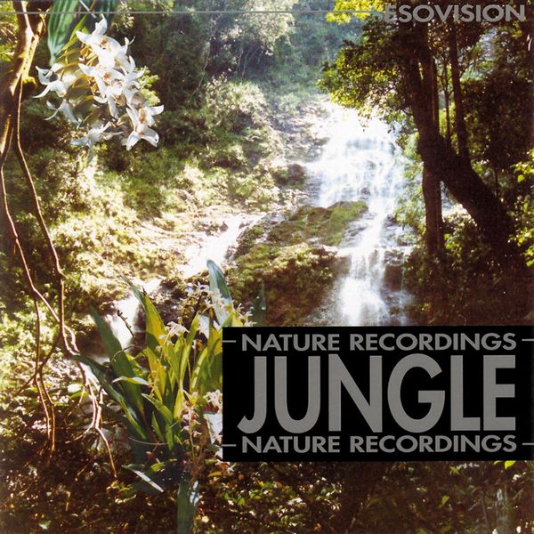 Ev 67 Jungle Production Music Wiki Fandom