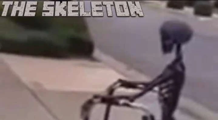 The Skeleton (Team) | PAP Wiki | Fandom