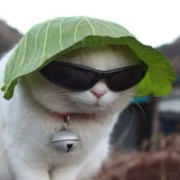 Viper | ProGamerNetwork Wiki | Fandom