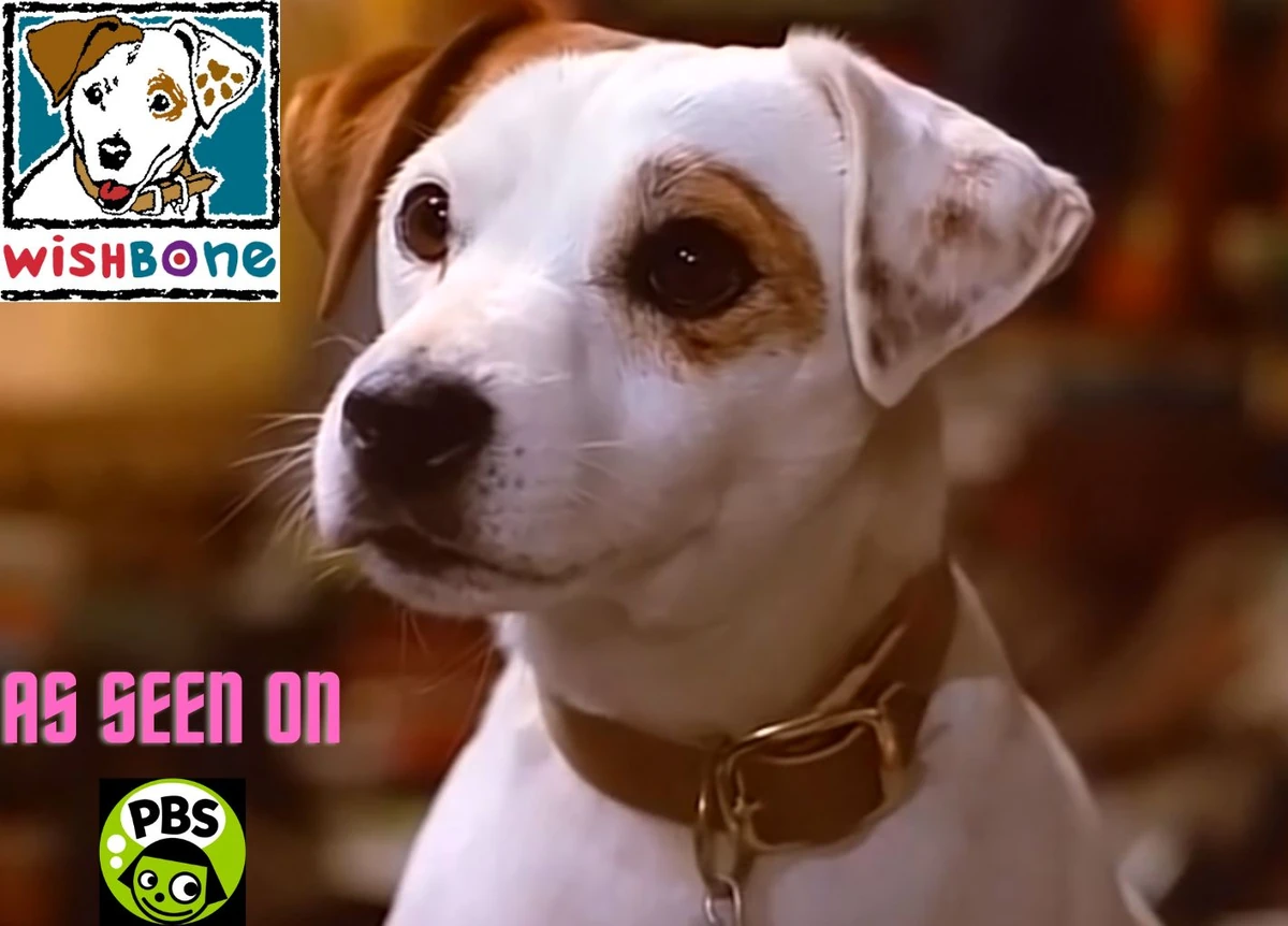 Wishbone (1995 TV Series) | Programs Club Party 1965-2022 X1 Wiki | Fandom