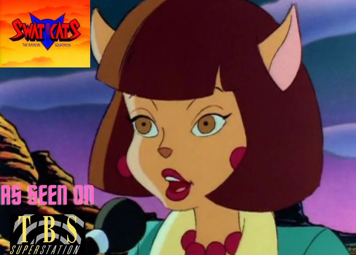 SWAT Kats: The Radical Squadron | Programs Club Party 1965-2022 X1 Wiki | Fandom
