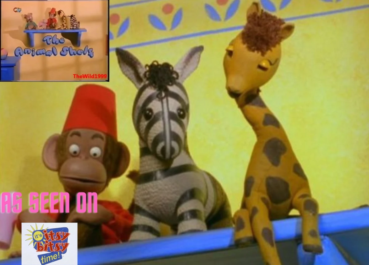 Animal Shelf (1997 TV Series) | Programs Club Party 1965-2022 X1 Wiki | Fandom