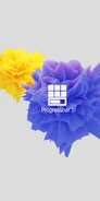Progressbar 11 | Progressbar95 Wiki | Fandom