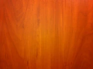 TPB-80 | Progressbar95 Wiki | Fandom