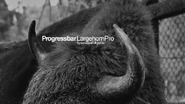 Progressbar Largehorn | Progressbar95 Wiki | Fandom