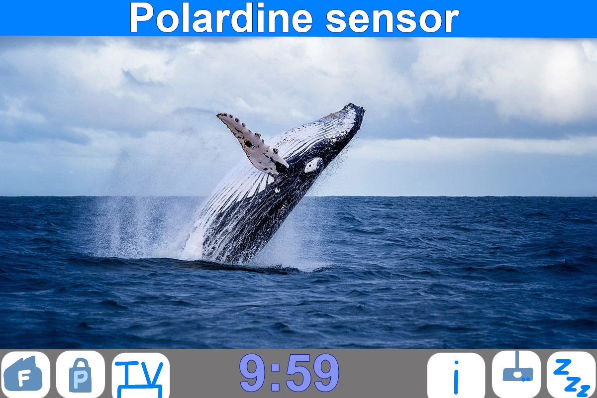 Sensor Whale | Progressmod95 Wiki | Fandom