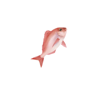 Progressbar 80 build 7.2β | Progressmod95 Wiki | Fandom