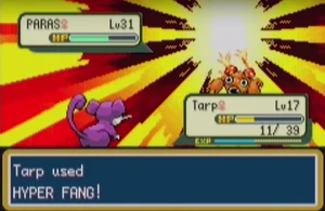 Tarp | ProJared Wiki | Fandom